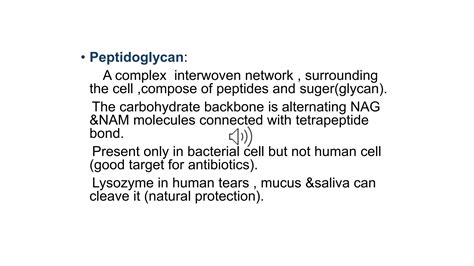 Microbiology Structure Of Bacteriapptx