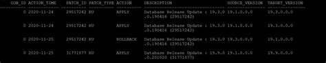 Apply Patching On Oracle 19c Database Release Update 19900201020 Oracledbwr