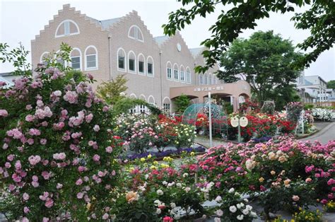 熊本県で楽しむ工場見学6スポット
