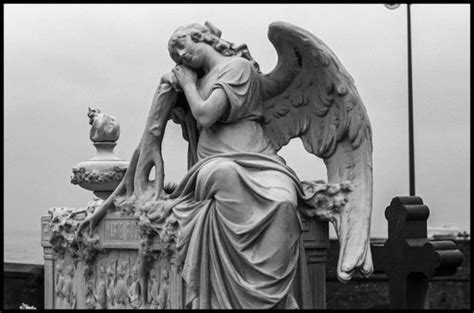 Beyeler Roderic — Youpic