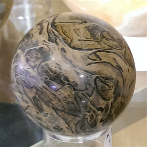 Fossil Sphere 2 Trinas Rock Shop