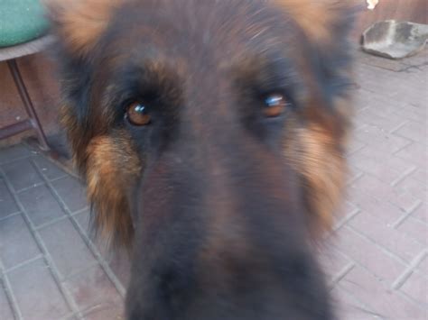 Is This Yuri On Tumblr