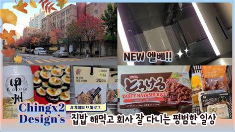 40대 직장인 가계부 브이로그 집밥 해먹고 회사 잘 다니는 평범한 일상sandb 도로케로 하야시 라이스코슈 니라사키 하이볼중