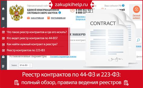 Реестр контрактов по 44 ФЗ и 223 ФЗ полный обзор документы