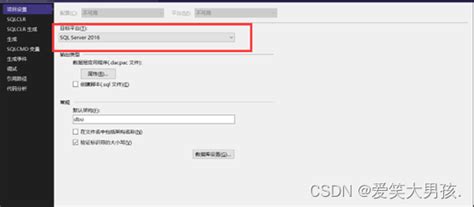 在sql Server中使用正则表达式来验证字符串是否满足格式要求的方法校验输入的字符串是否符合数据库字符集 Csdn博客
