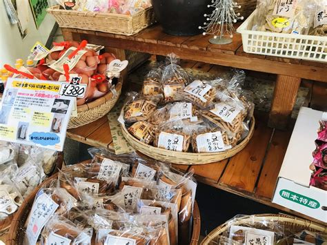 【奥阿蘇物産館】山の中のオアシス！広場と遊具もある！休憩やお買い物にどうぞ！《阿蘇郡高森町草部》 さるクマ さるこう、熊本