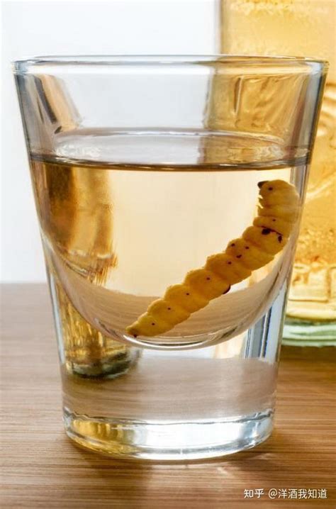 龙舌兰酒——mezcal（麦斯卡尔酒） 知乎