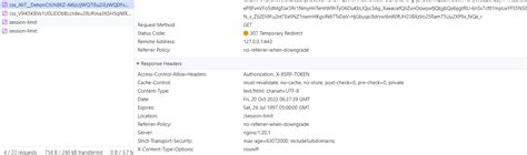 Css And Js Files Are Being Redirected To The Session Limit Page For All