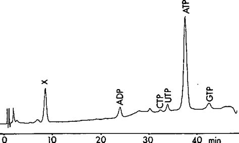 Figure 1 From Chemical Composition Of Phloem Sap From The Uppermost