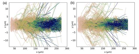 Projections Of The Electron Trajectories To The Planes Polarization