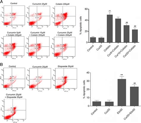 Protective Effect Of Curcumin Against Colistin Induced Apoptosis In N2a