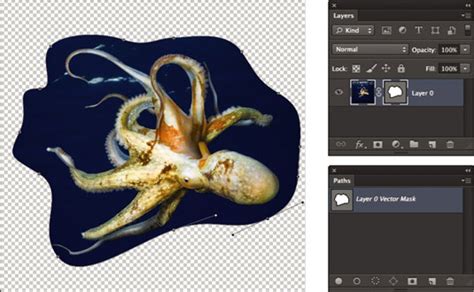 How To Add A Vector Mask To A Layer In Photoshop CS Dummies