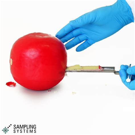 Mini Corer 150mm Each Trafalgar Scientific