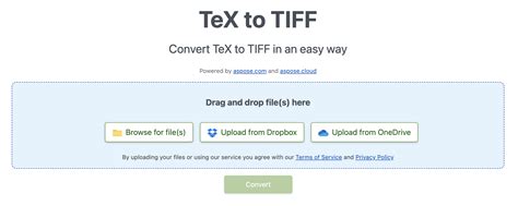 C에서 Tex를 Tiff 이미지로 변환