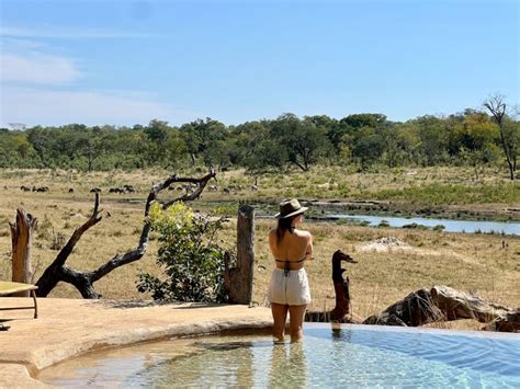 Sharon Stead On Linkedin Safarilodge Adventuretravel Africa Hwangenationalpark