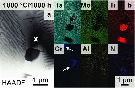 Tem Investigations On A Selected Grain Boundary Vertical In The Download Scientific Diagram