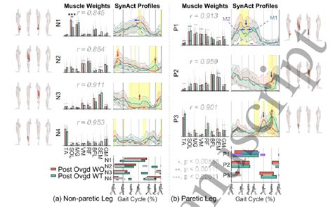 Overground Walking Muscle Synergy Pattern Comparison Between Without Download Scientific