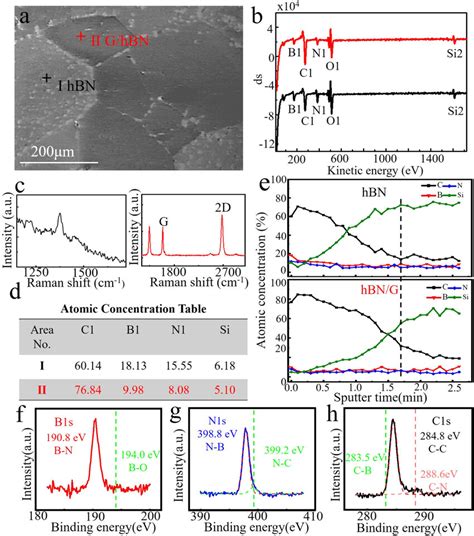A Sem Image Of Hbn G Transferred Onto The Sio2 Si Substrate B C Download Scientific