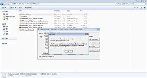 VMProtect X V HWID Lock All Protection Options UnPackMe Tuts You
