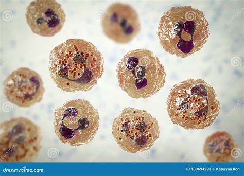 Meningococcal Meningitis Cerebrospinal Fluid Smear Royalty Free Stock