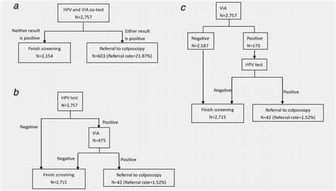 A Flowchart Of Hpv Dna And Via Co Test B Flowchart Of Hpv Test
