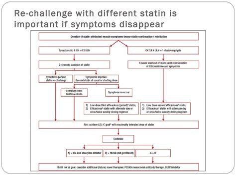 Dyslipidemia Management An Evidence Based Approach Ppt