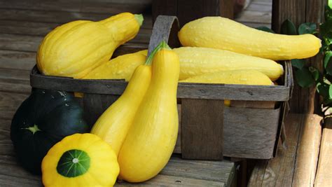 Types Of Yellow Squash A Vibrant Tasty Summer Staple Nomtastic Foods