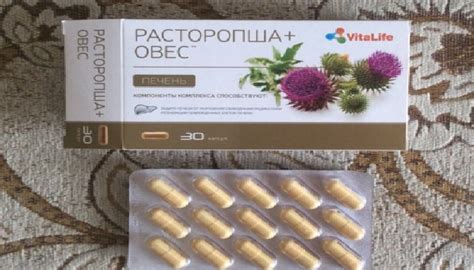 Расторопша и овес в капсулах - свойства, показания, цена, отзывы