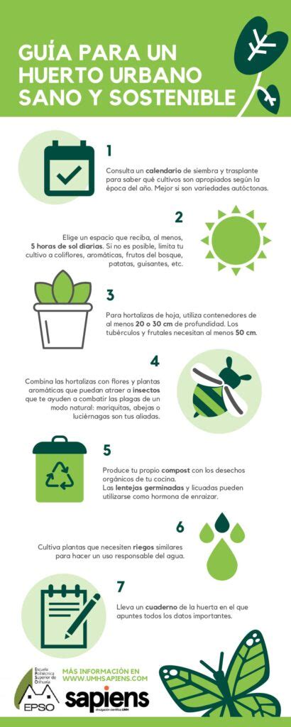 Crea tu huerta ecológica UMH Sapiens