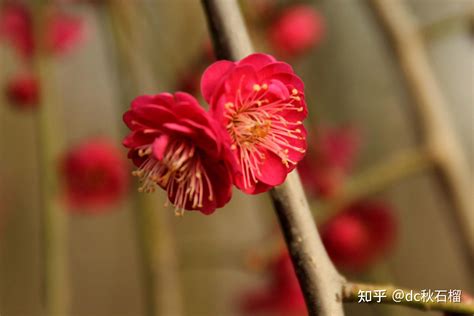 魏惠王为何又称梁惠王？ 知乎