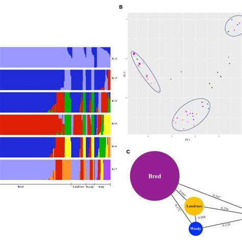 Estimation Of Structure And Population Differentiation Within The
