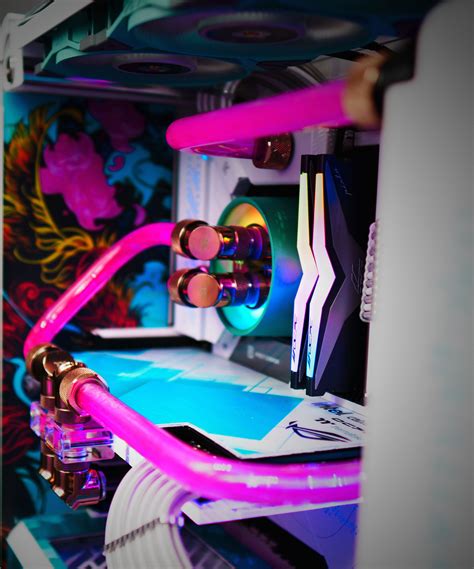 Mod Tt Core P6 Dragon Garden • Pause Hardware