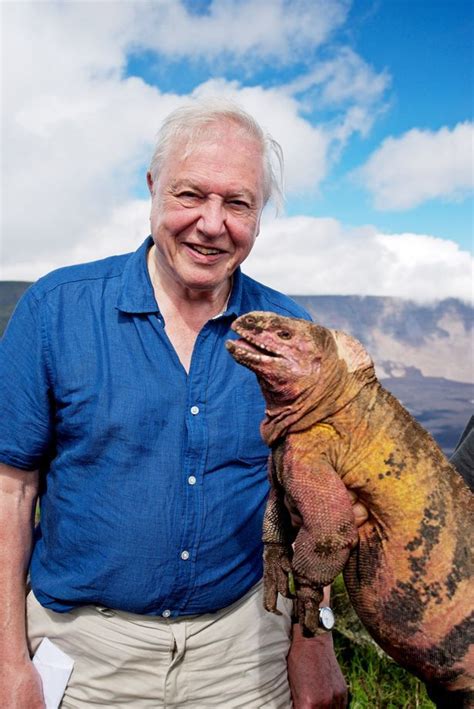 In The Pink Sir David Attenborough Captures New Species Of Pink Iguana