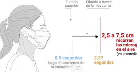Las Mascarillas Faciales Protegen Contra La Covid 19 Pero No Todas Por
