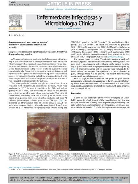 Pdf Streptococcus Canis Como Agente Causal De Infección De Material De Osteosíntesis Y Miositis