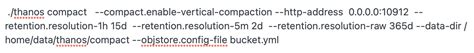 Compactorfailed To Run Compactor And Deletion Markjson Is Remained In