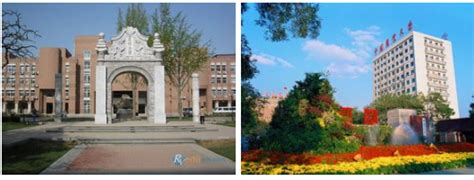 中国农业大学2025年公开招聘海内外优秀人才