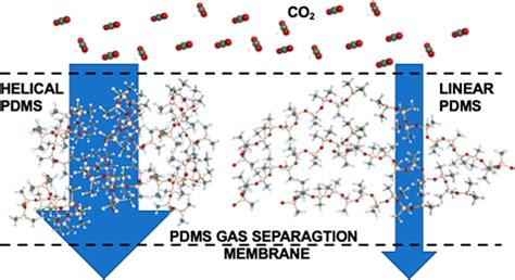 Curvature Effect In Polydimethylsiloxane Interaction With Co₂ Insights From Theory 九州大学藤川茂紀研究