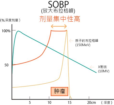 癌症质子治疗 津山中央医院 中国网站