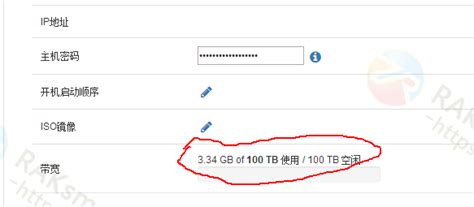 Raksmart Vps服务器查看带宽流量使用情况的简单方法 Raksmart美国服务器评测