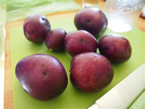 5 Remedios Caseros Para La Acidez Estomacal Salud