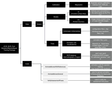 Biplanar Videoradiography Dataset For Model Based Pose Estimation
