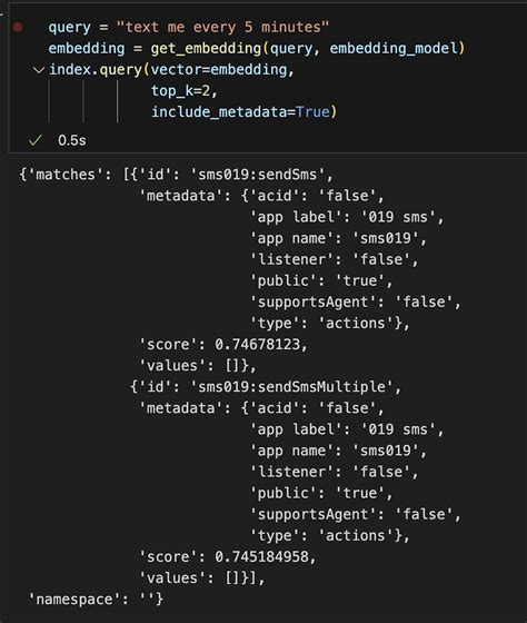 Embeddings Sent To Pinecone But Queries Show Empty Values Arrays