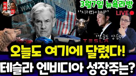 미국주식파월증언 전기차 에너지 바이오 인공지능 반도체테슬라 엔비디아 구글 애플 아마존 메타 마이크로소프트 리비안 소파이 팔란티어 아이온큐 Smci등 Tsla