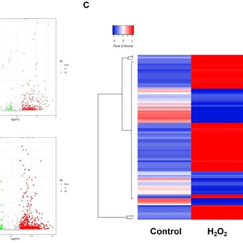 Volcano Plot A B And Hierarchical Clustering Analysis C Revealing Download Scientific