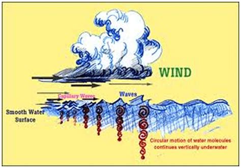 Generation Of Sea Surface Waves Download Scientific Diagram