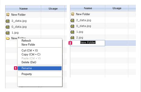 Rename Folders Files