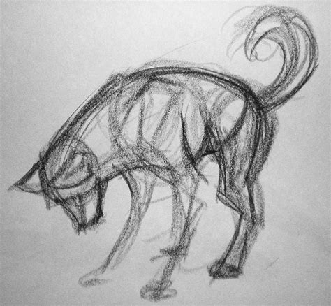 Anatomia Artistica Disegni