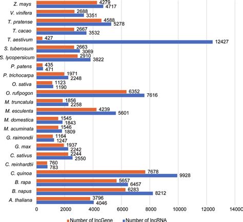 Summary Of Long Non Coding RNAs Collected In 23 Plant Species From Download Scientific Diagram