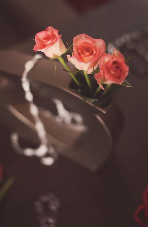 Flores Rosas Rosadas Foto Gratis En Pixabay Pixabay